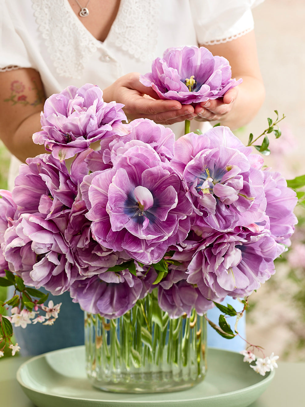 Tulip Dancing Passion | Order Unique Tulip Bulbs | DutchGrown™